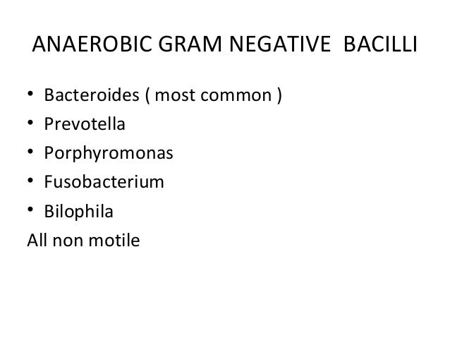 Anaerobic bacteria