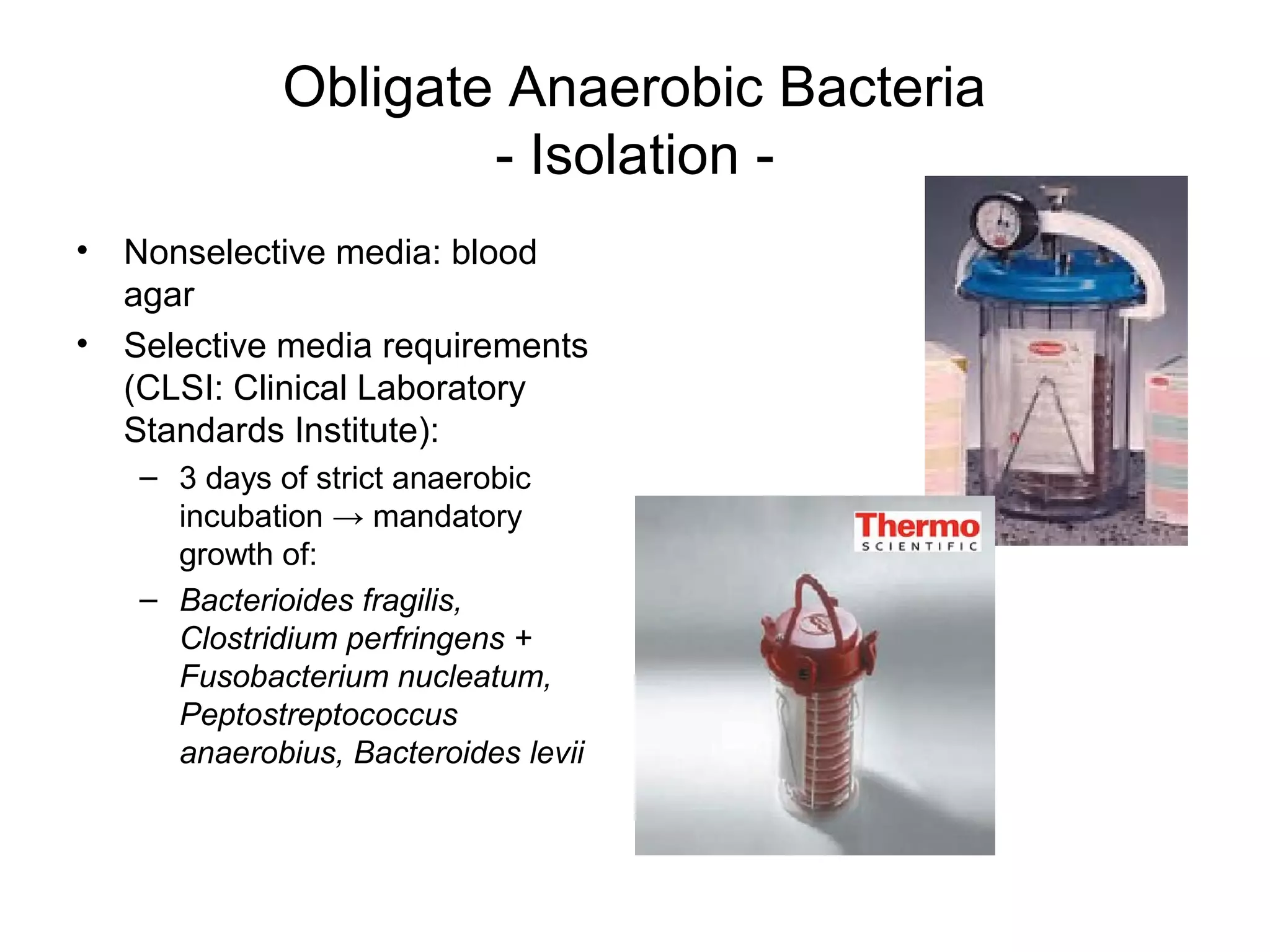 Anaerobic bacteria | PPT