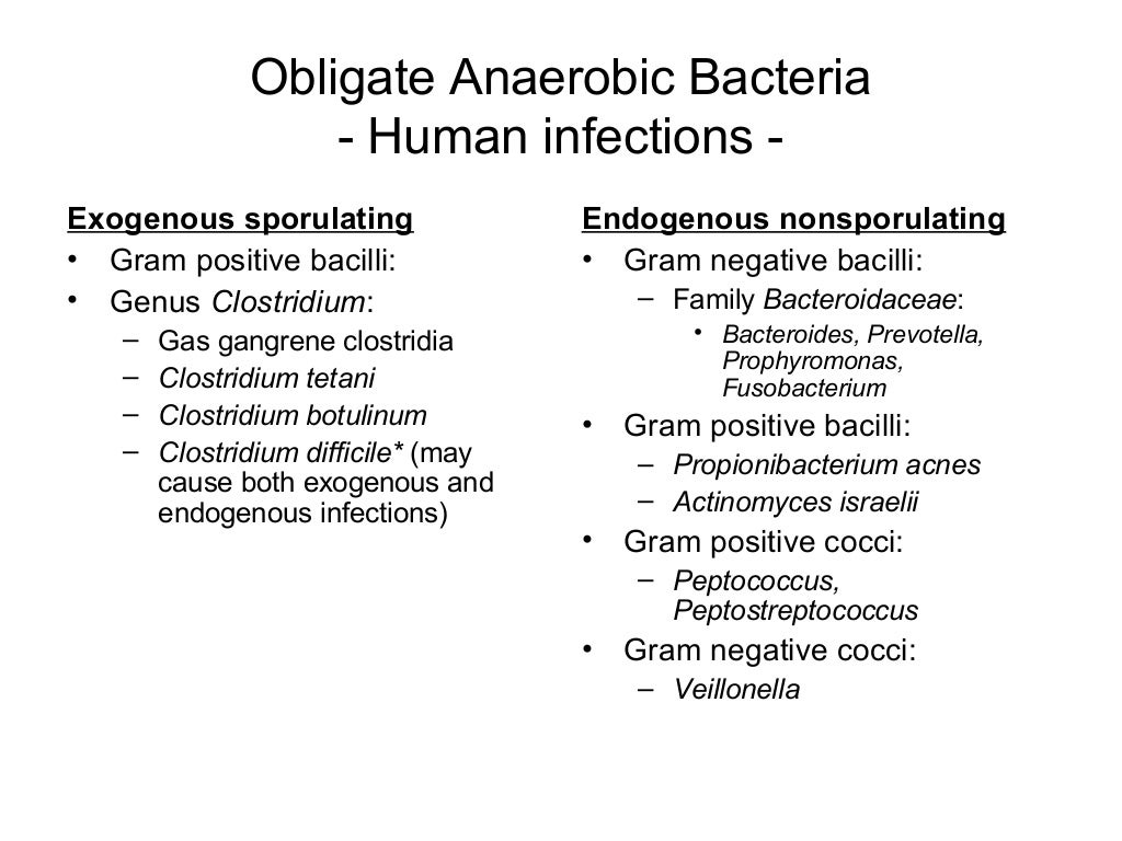 Anaerobic bacteria