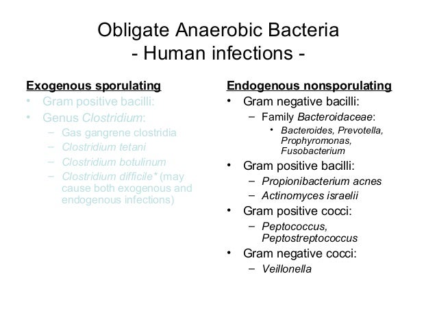 Anaerobic bacteria