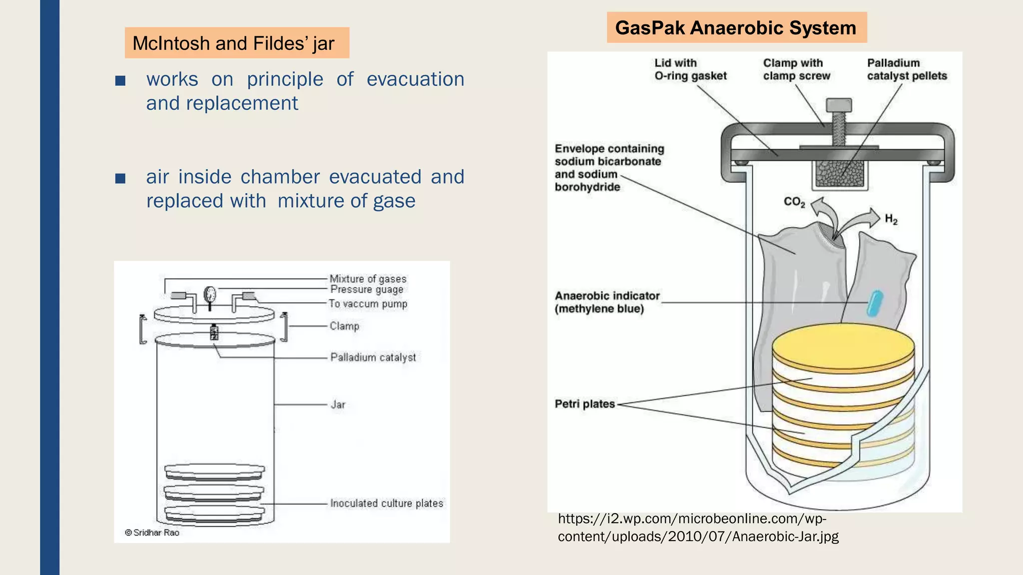 Anaerobic_bacteria_culture__Practical_-1.pdf