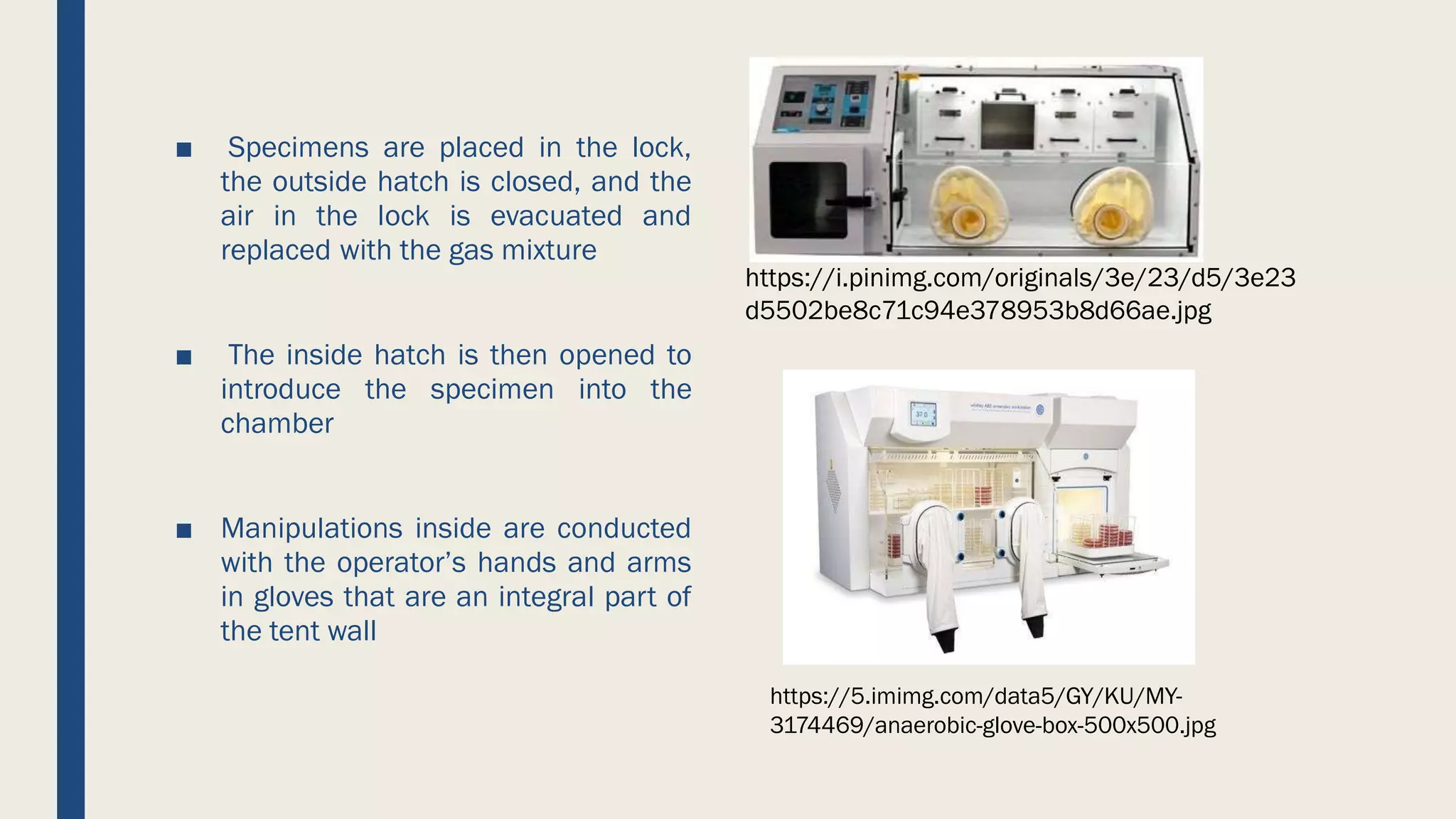 Anaerobic_bacteria_culture__Practical_-1.pdf