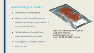 Anaerobic_bacteria_culture__Practical_-1.pdf