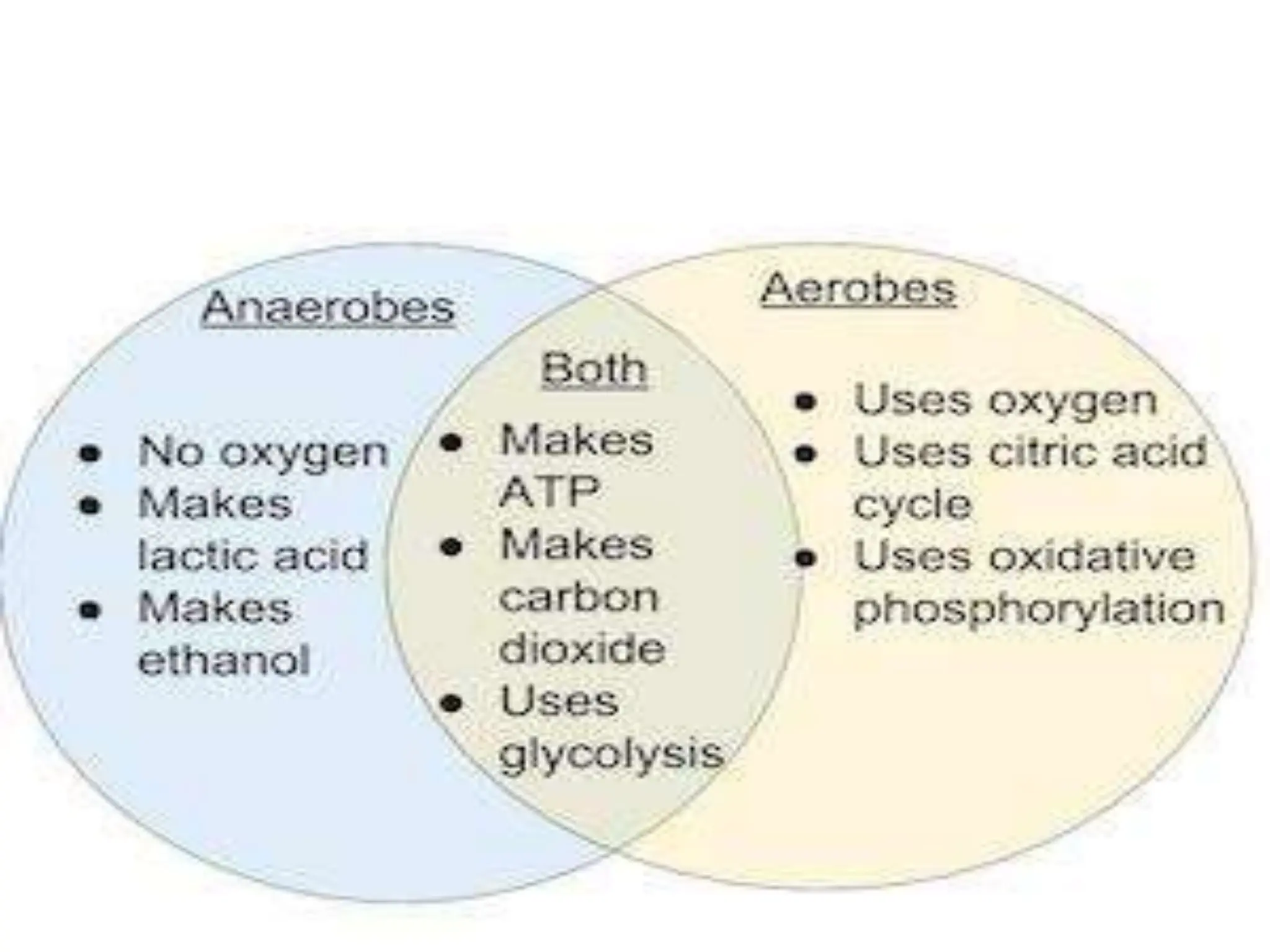 ANAEROBIC BACTERIAL METABOLISM 22.2.pptx