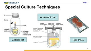 Anaerobic Bacteria types and its cultivation- Aditi Kar.pptx