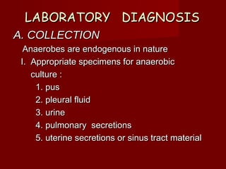 Anaerobic Bacteriology Lecture | PPT