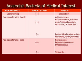 Anaerobic Bacteriology Lecture | PPT