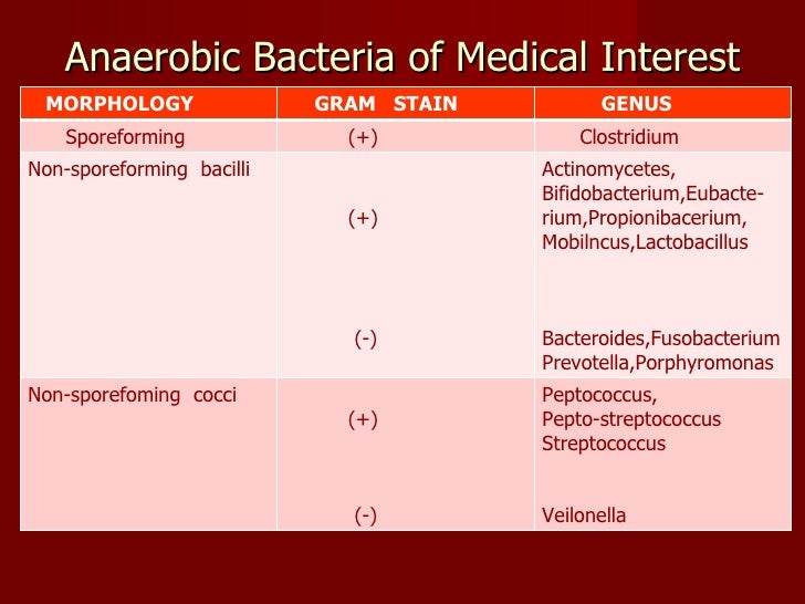 Anaerobic Bacteriology Lecture