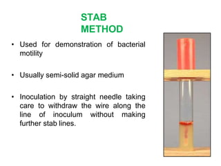 Anaerobic cultivation of bacteria class all.pptx