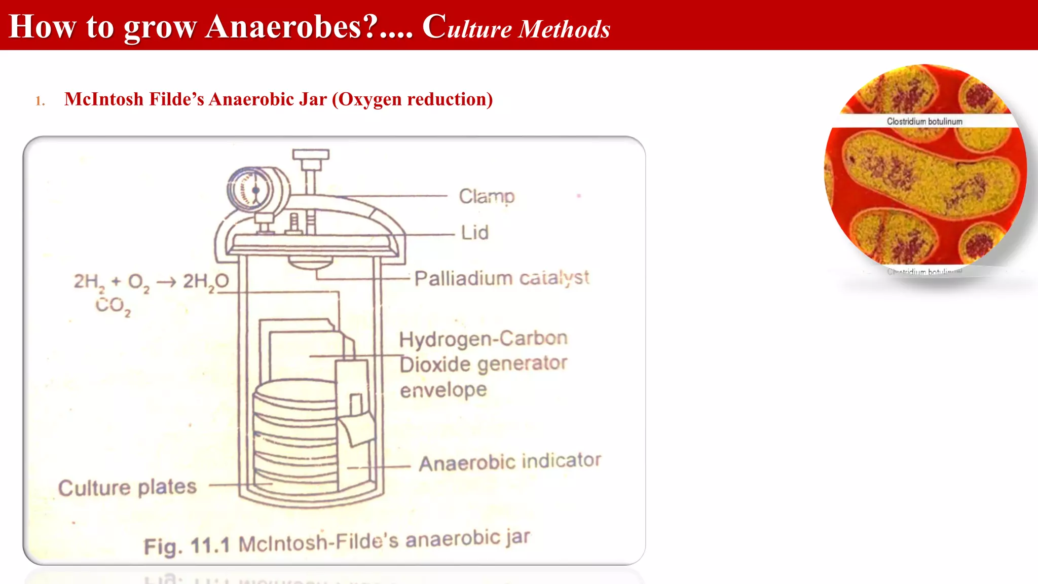Anaerobic culture media and methods | PDF