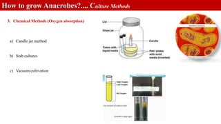 Anaerobic culture media and methods | PDF