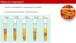 Anaerobic culture media and methods | PDF