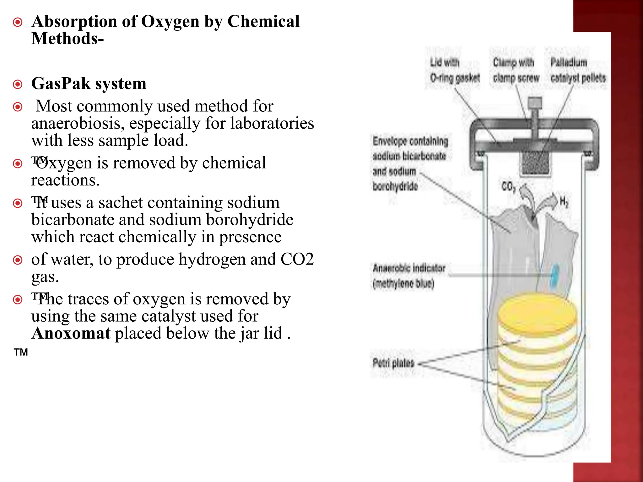 ANAEROBIC BACTERIAL CULTURE METHODS.pptx