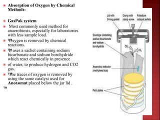 ANAEROBIC BACTERIAL CULTURE METHODS.pptx