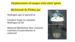 Anaerobic Culture methods of bacteria.pdf