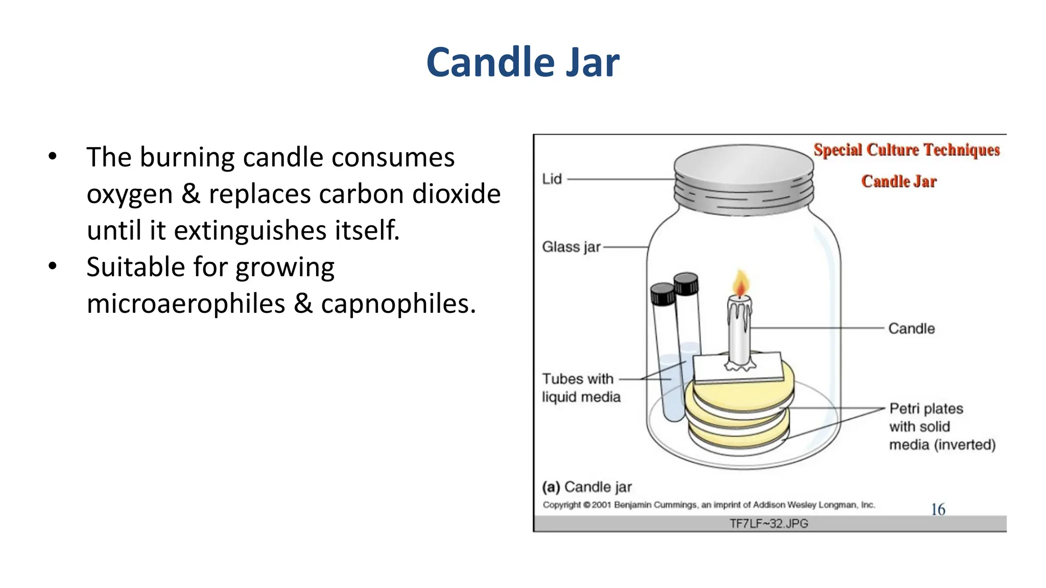 Lecture on Anaerobic Culture Systems by Dr. Avizit Sarker | PDF