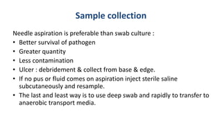 Lecture on Anaerobic Culture Systems by Dr. Avizit Sarker | PDF