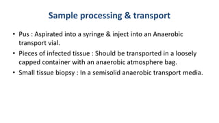 Lecture on Anaerobic Culture Systems by Dr. Avizit Sarker | PDF
