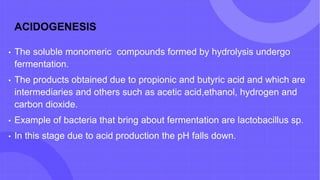 Bioremediation - Anaerobic digestion.pptx