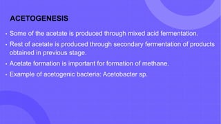 Bioremediation - Anaerobic digestion.pptx
