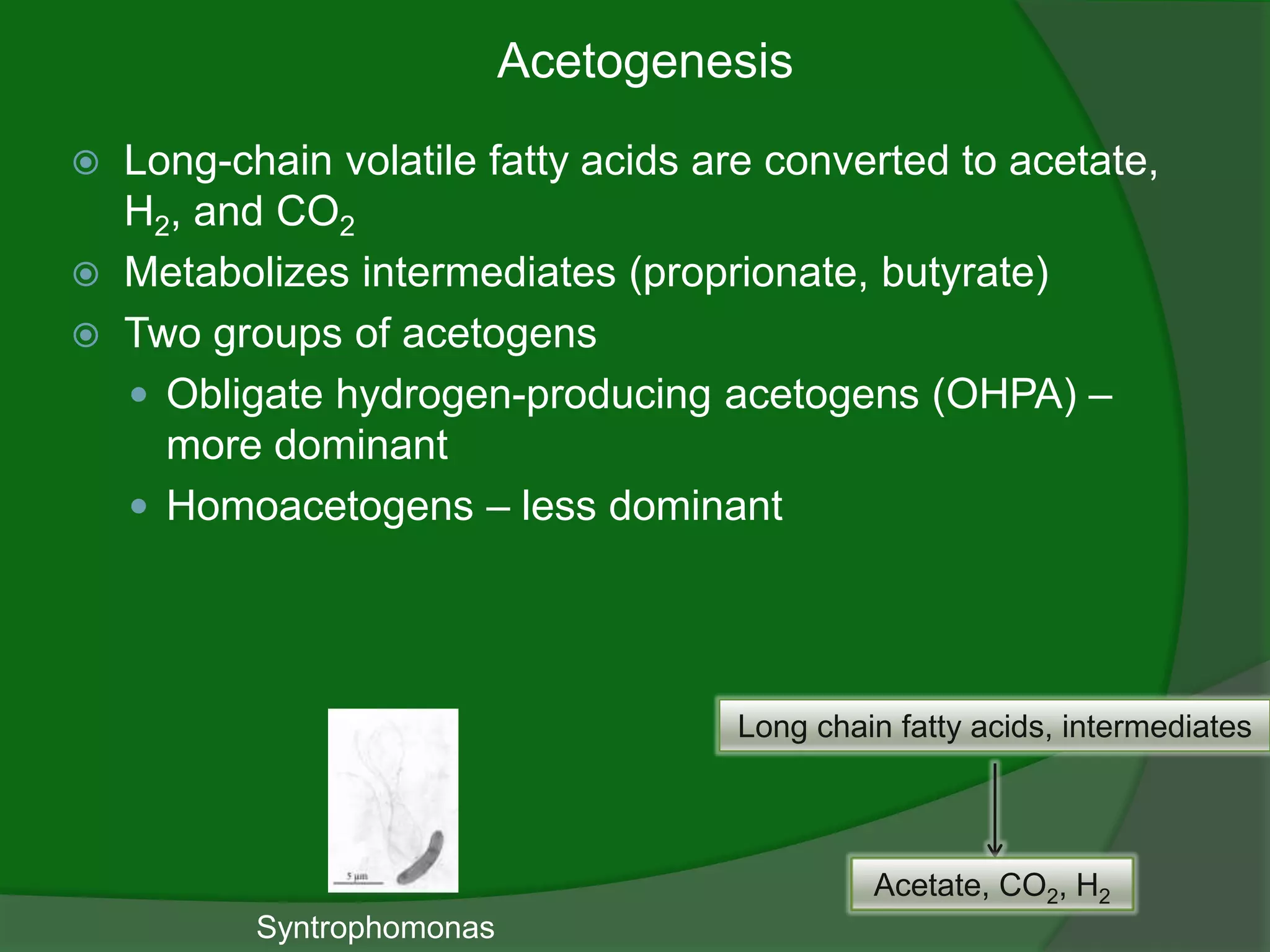 Anaerobic Digestion and Biogas.ppt