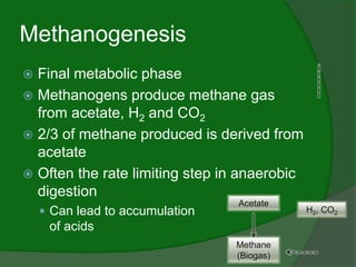 Anaerobic Digestion and Biogas.ppt
