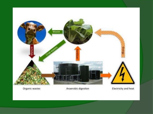 Anaerobic Digestion and Biogas.ppt