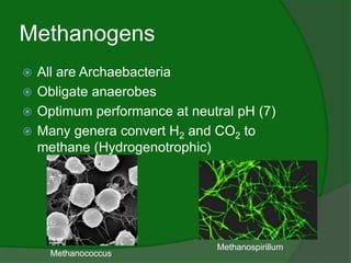 Anaerobic Digestion and Biogas - Microbiology.ppt