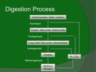 Anaerobic Digestion and Biogas - Microbiology.ppt