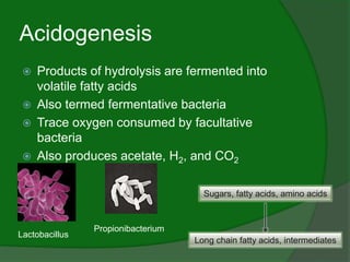 Anaerobic Digestion and Biogas - Microbiology.ppt