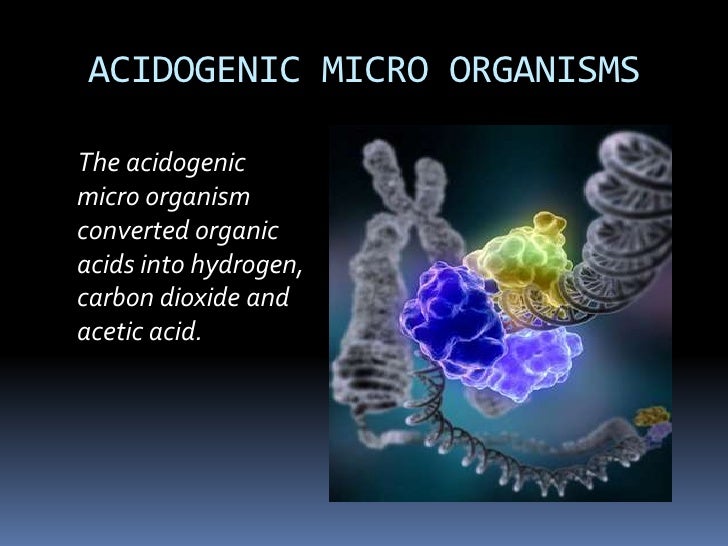 Anaerobic Digestion Presentazione Si