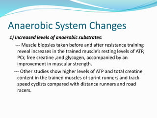 Anaerobic Exercise Definition