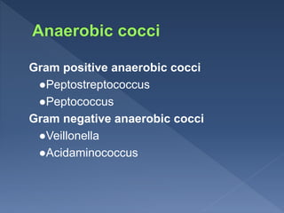 ANAEROBIC INFECTION IN PRACTISE- IN DETAILS | PPT