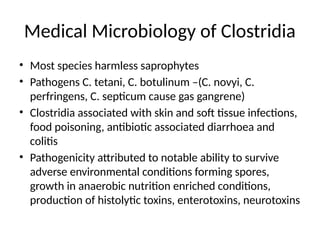 Anaerobic Infections slide suitable.pptx