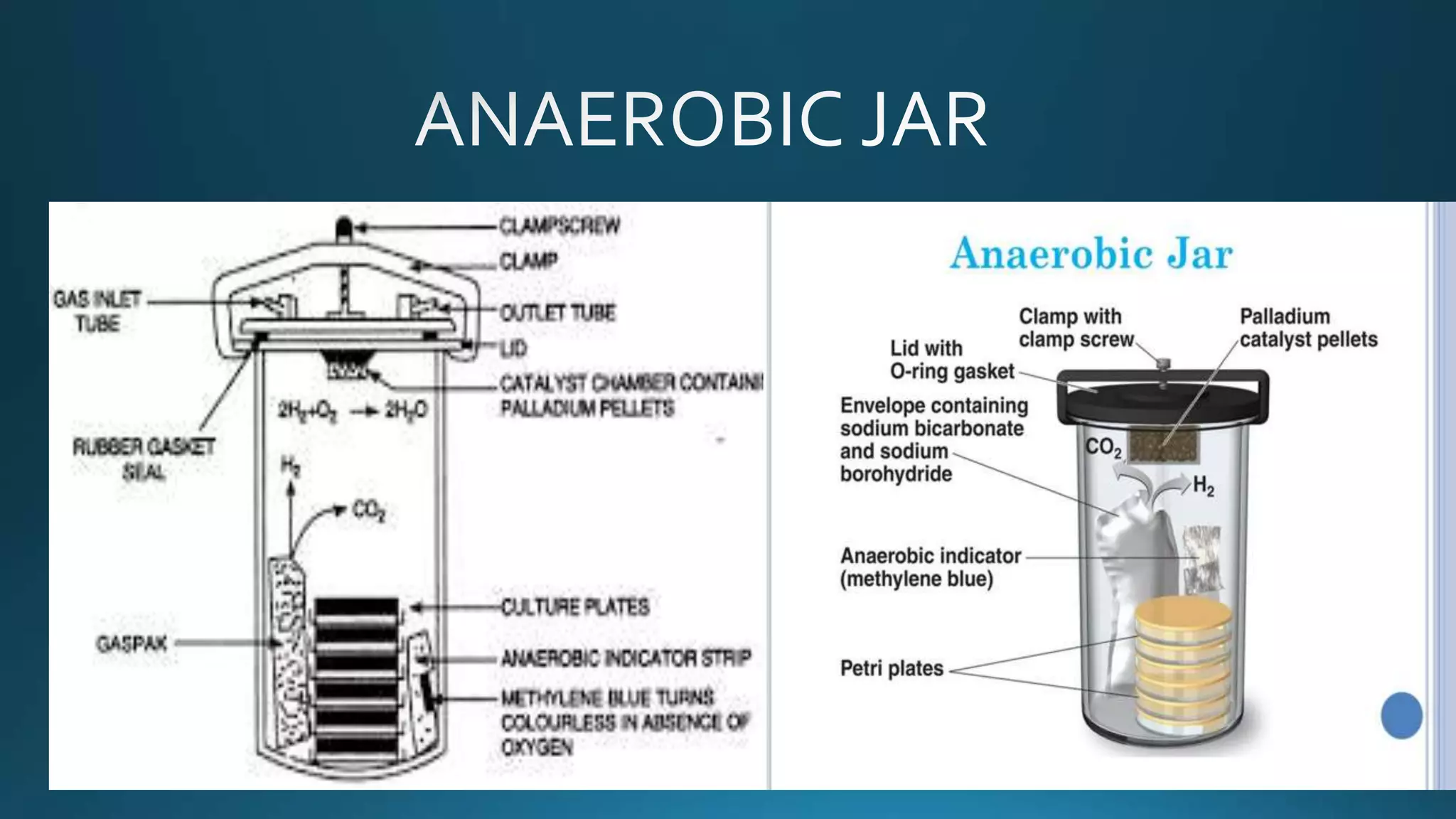 Anaerobic jar | PPTX