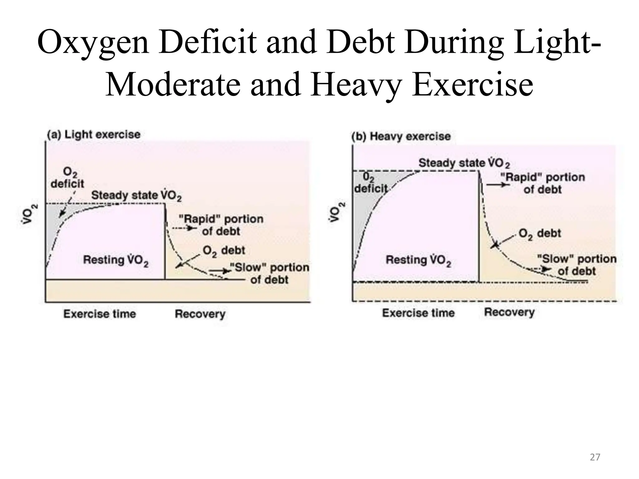 anaerobic power testing.pptx