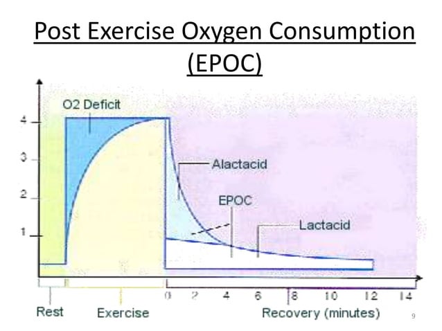 anaerobic power testing.pptx