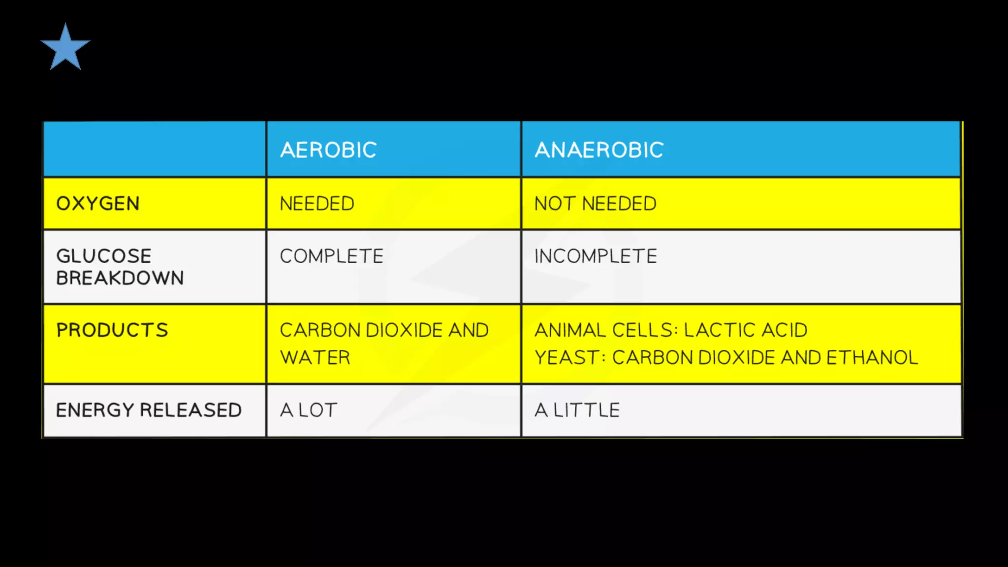 Anaerobic Respiration.pptx