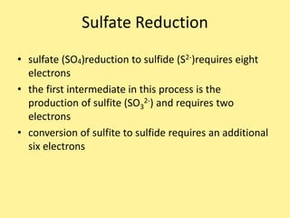 anaerobic respiration.ppt