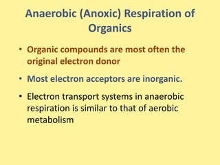 anaerobic respiration.ppt