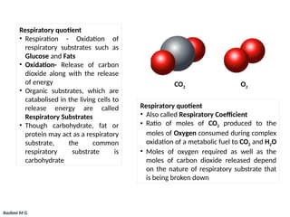 Anaerobic respiration (Fermentation, Types, Pasteur effect, Warburg ...
