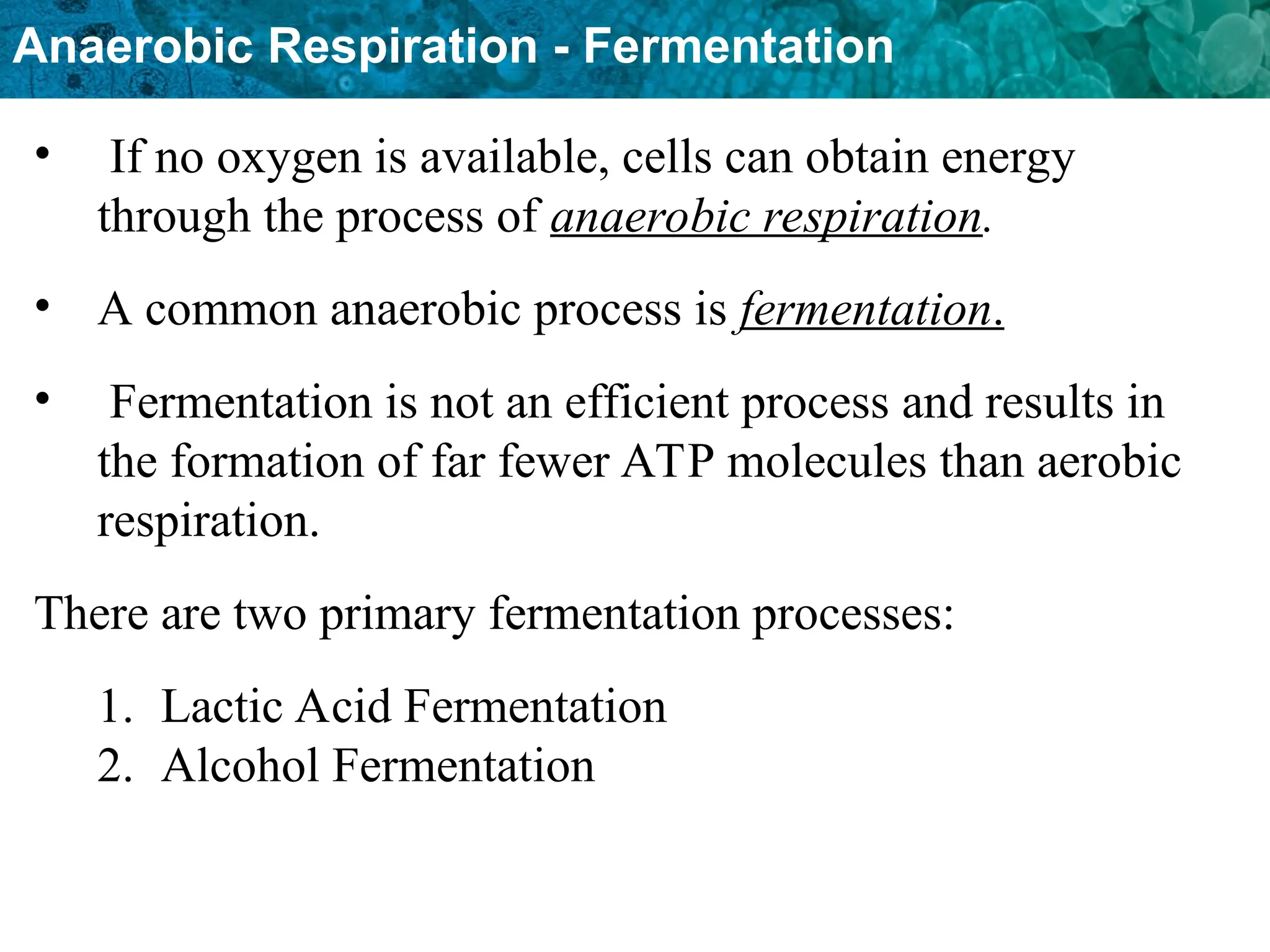 Anaerobic Respiration and fermentation.ppt
