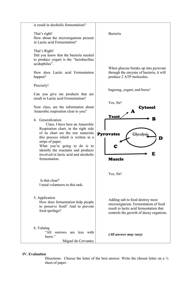 Anaerobic respiration ok | PDF