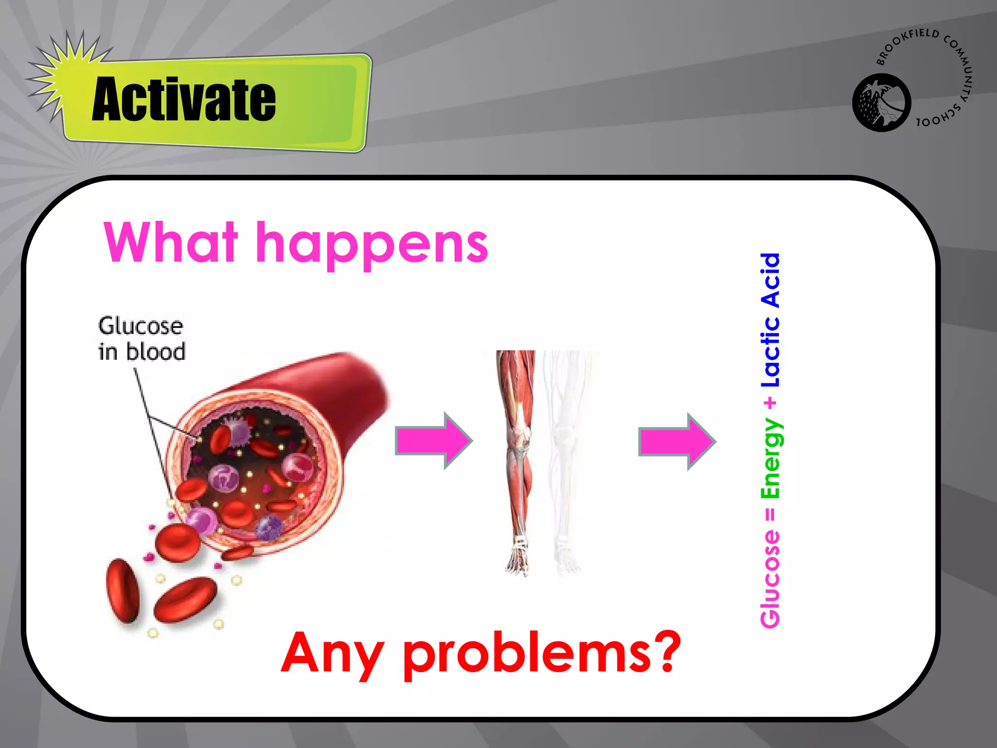 Anaerobic respiration system solo | PPT