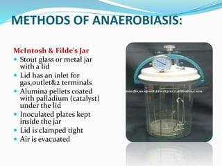 Anaerobiosis | PPTX