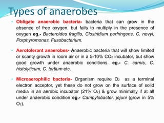 Anaerobiosis | PPTX