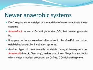 Anaerobiosis | PPTX