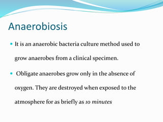 Anaerobiosis | PPTX
