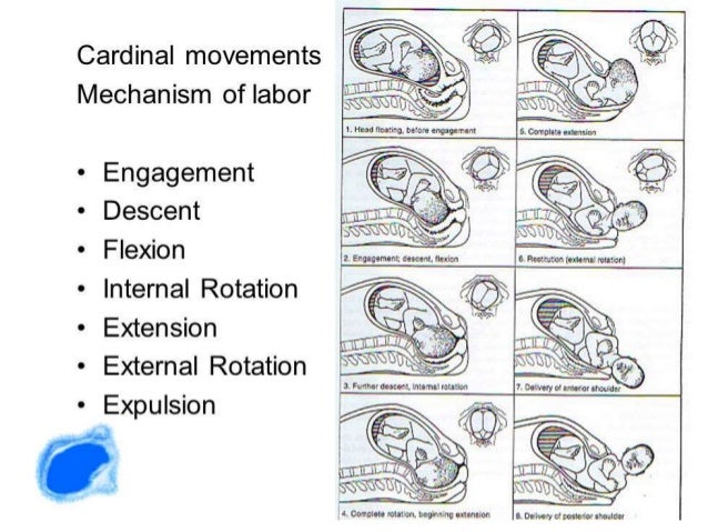 Anesthesia Consideration in Pediatric and Obstetrics
