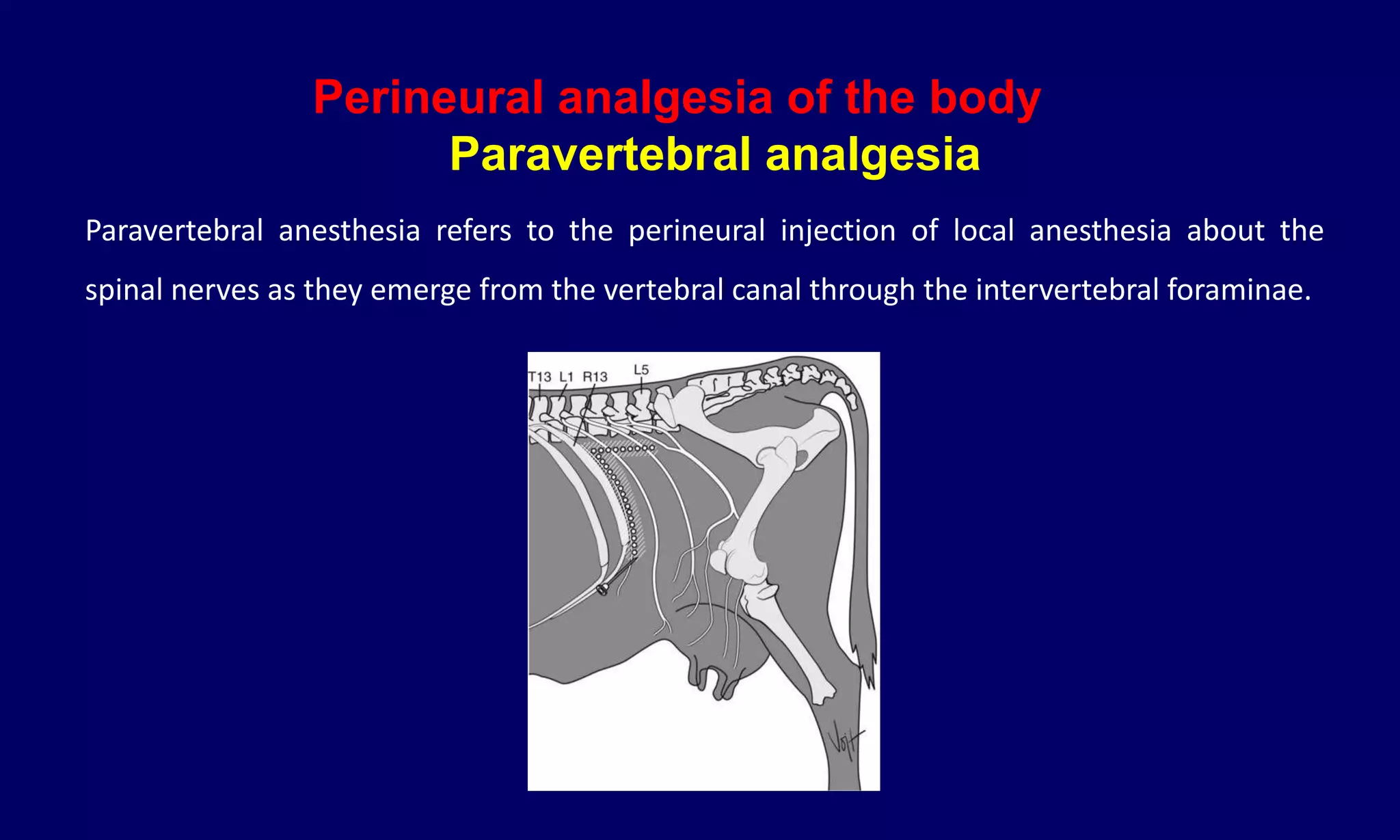 Veterinary Anesthesia | PPTX